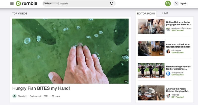 What Security Professionals Need to Know About Rumble | Liferaft